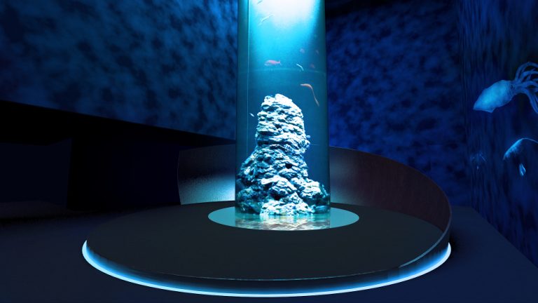 ACQUARIO DI GENOVA, LE MERAVIGLIE DEL NOSTRO MARE